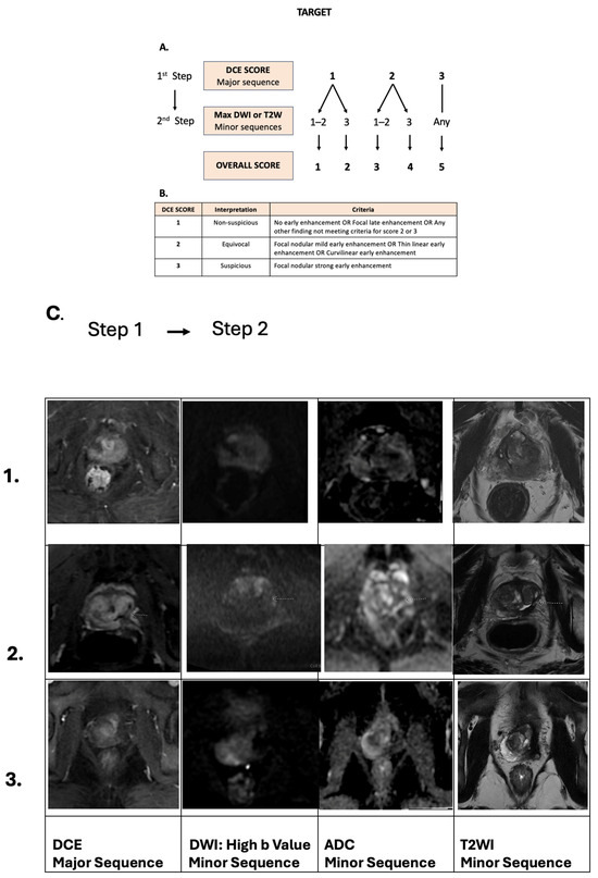 Post-Treatment Imaging in Focal Therapy: Understanding TARGET and PI ...