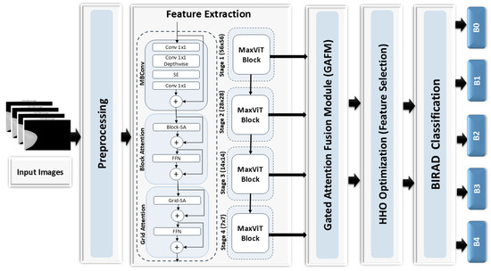 Multi-Scale Vision Transformer with Optimized Feature Fusion for ...