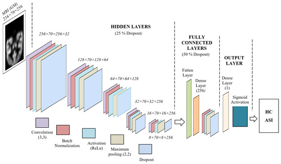 GM-VGG-Net: A Gray Matter-Based Deep Learning Network for Autism Classification