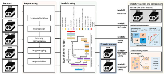Enhanced Malignancy Prediction of Small Lung Nodules in Different ...