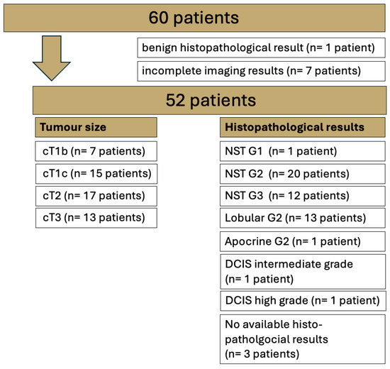 Deep Learning-Enhanced T1-Weighted Imaging for Breast MRI at 1.5T