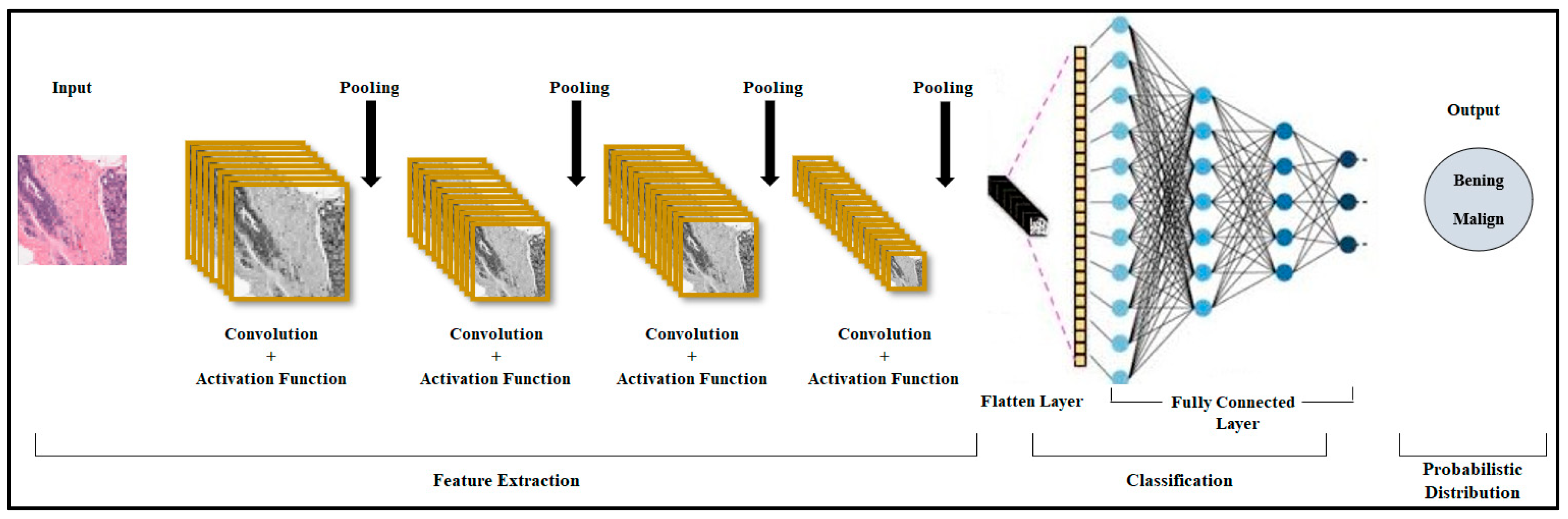Breast Cancer Classification with Various Optimized Deep Learning Methods