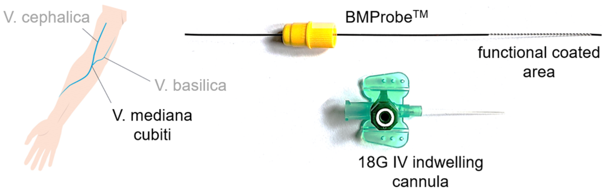 A Novel CTC-Binding Probe: Enzymatic vs. Shear Stress-Based Detachment ...