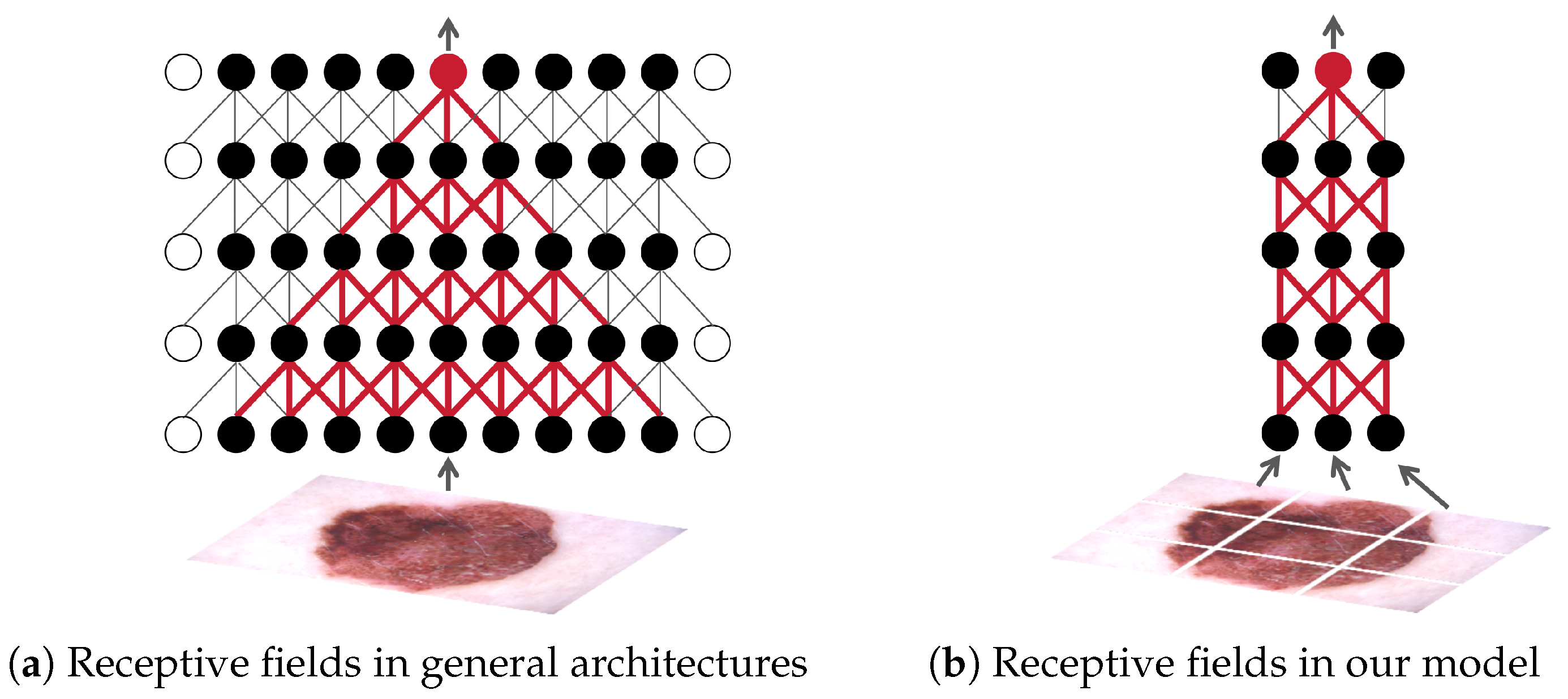 Edge- and Color–Texture-Aware Bag-of-Local-Features Model for Accurate ...