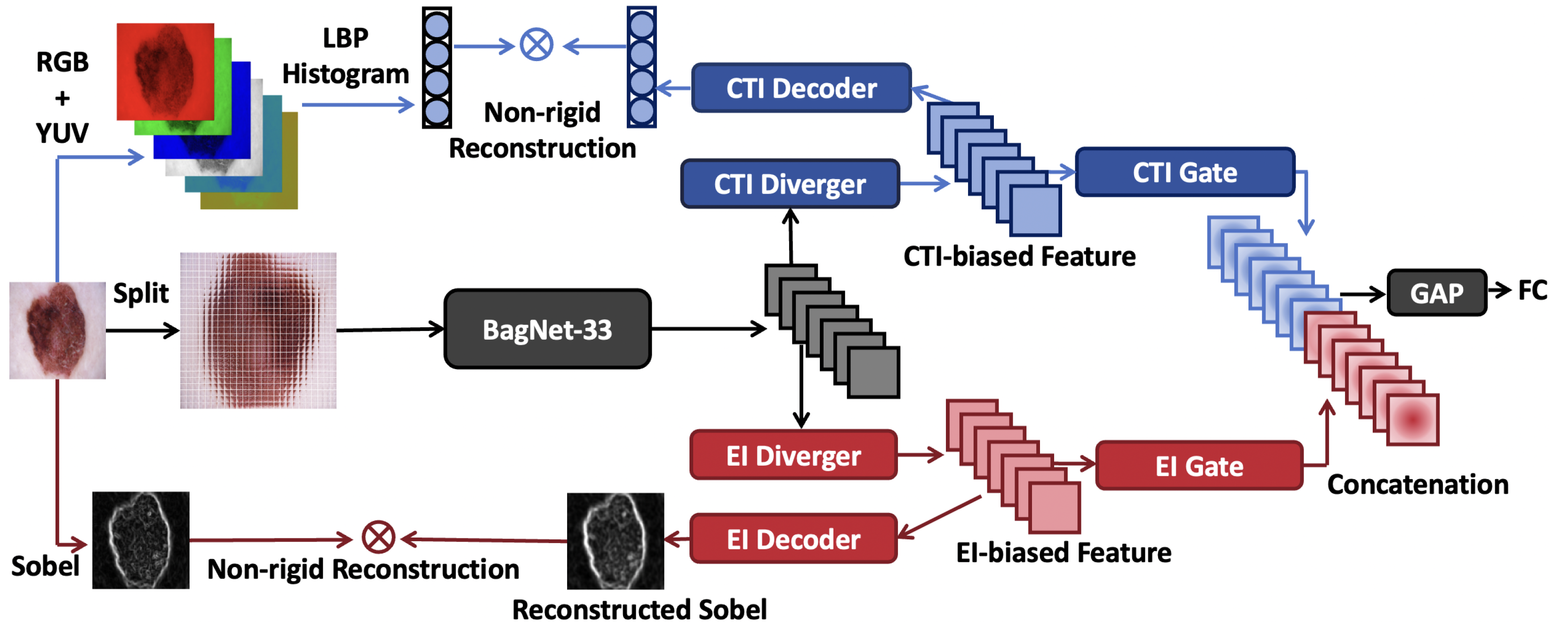 Edge- and Color–Texture-Aware Bag-of-Local-Features Model for Accurate ...