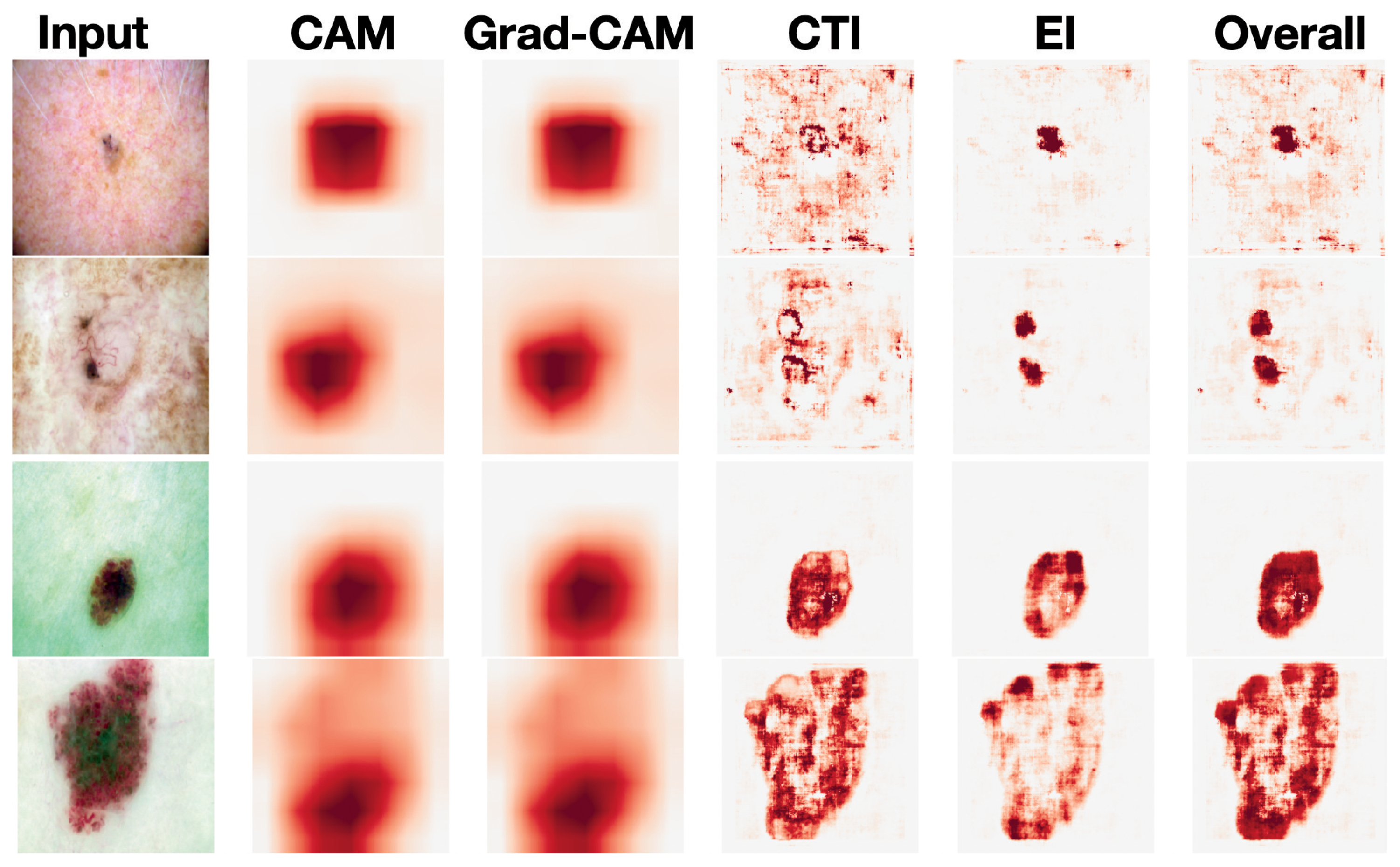 Edge- and Color–Texture-Aware Bag-of-Local-Features Model for Accurate ...