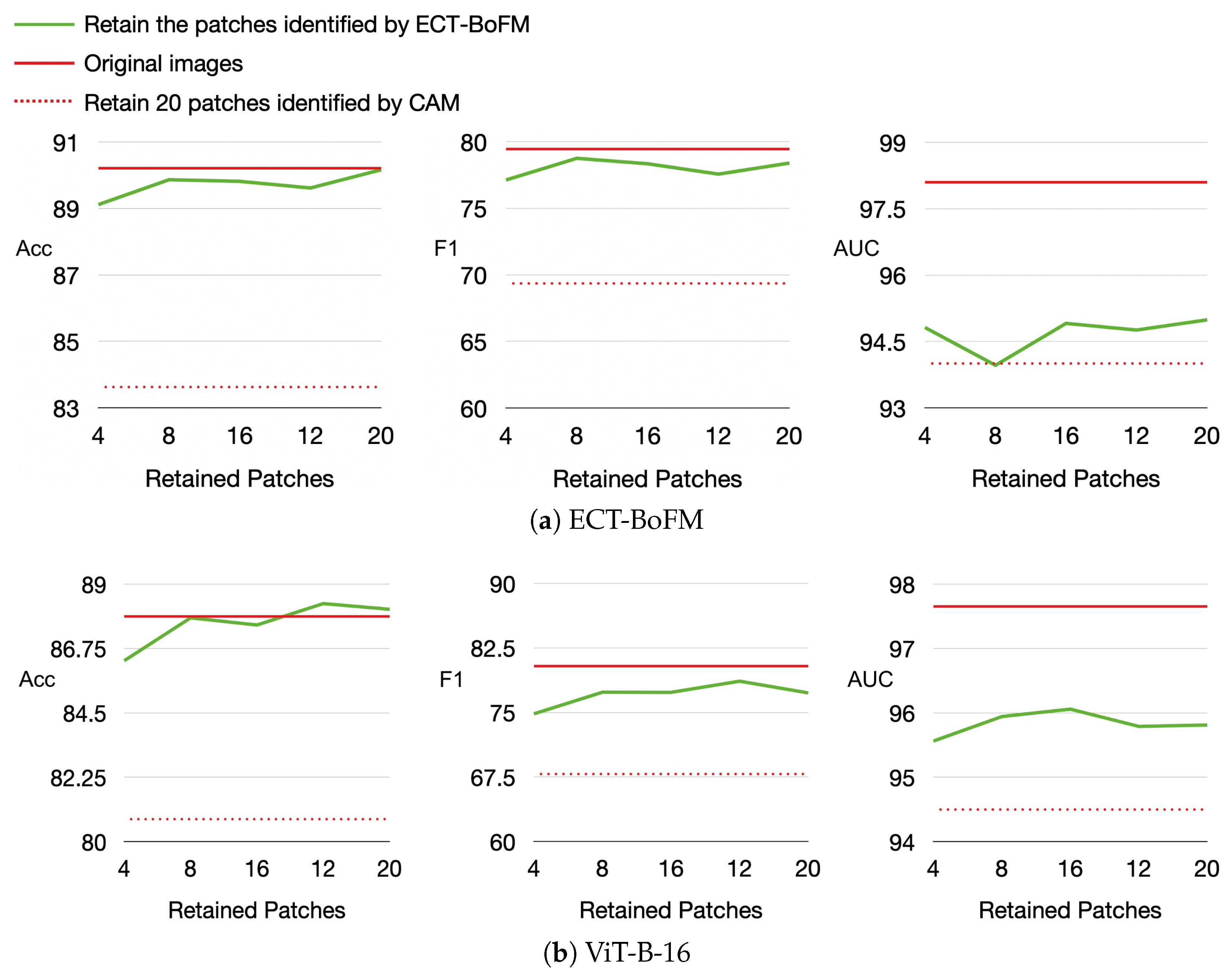 Edge- and Color–Texture-Aware Bag-of-Local-Features Model for Accurate ...