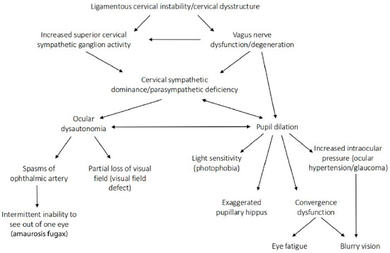 Cervical Oculopathy: The Cervical Spine Etiology of Visual Symptoms and ...