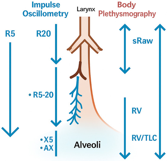 Correlation Between Body Plethysmography and Impulse Oscillometry ...