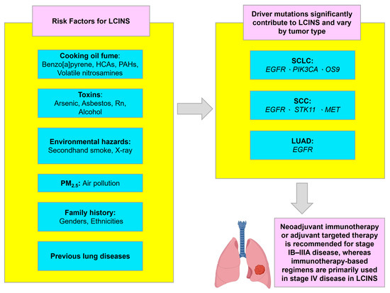 Lung Cancer in Never-Smokers: Risk Factors, Driver Mutations, and ...