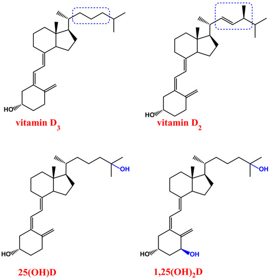 Vitamin D and Calcium—An Overview, Review of Metabolism, and the ...
