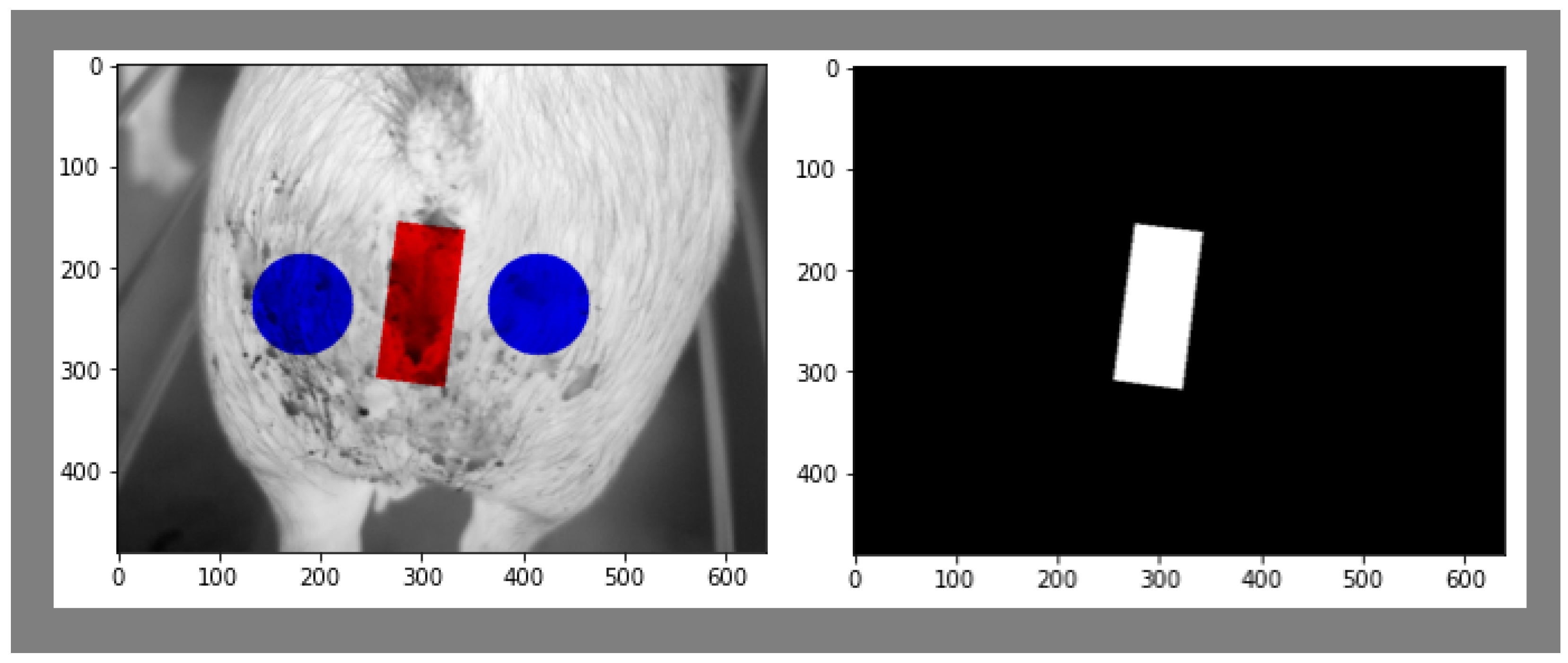 Digital | Free Full-Text | Advanced Swine Management: Infrared Imaging ...