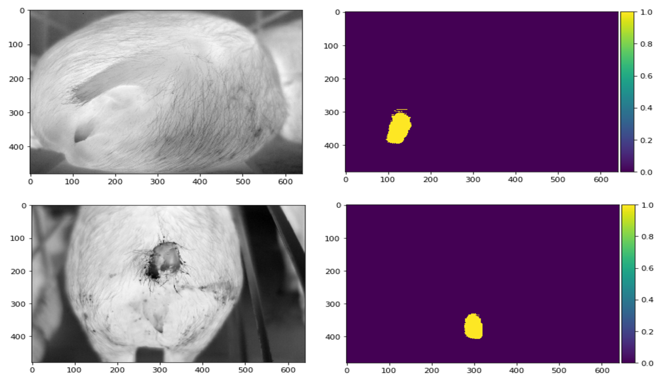 Digital | Free Full-Text | Advanced Swine Management: Infrared Imaging ...