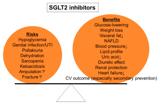 SGLT2 Inhibitors: The Star in the Treatment of Type 2 Diabetes?