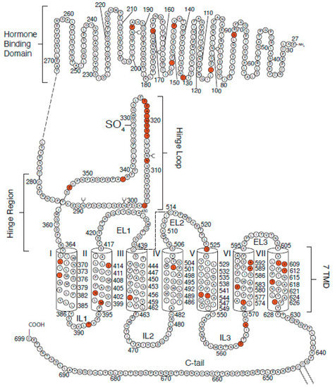 Glycoprotein G-protein Coupled Receptors in Disease: Luteinizing ...