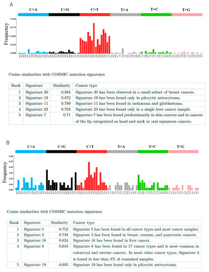 Whole-Exome Sequencing of Rare Site Endometriosis-Associated Cancer