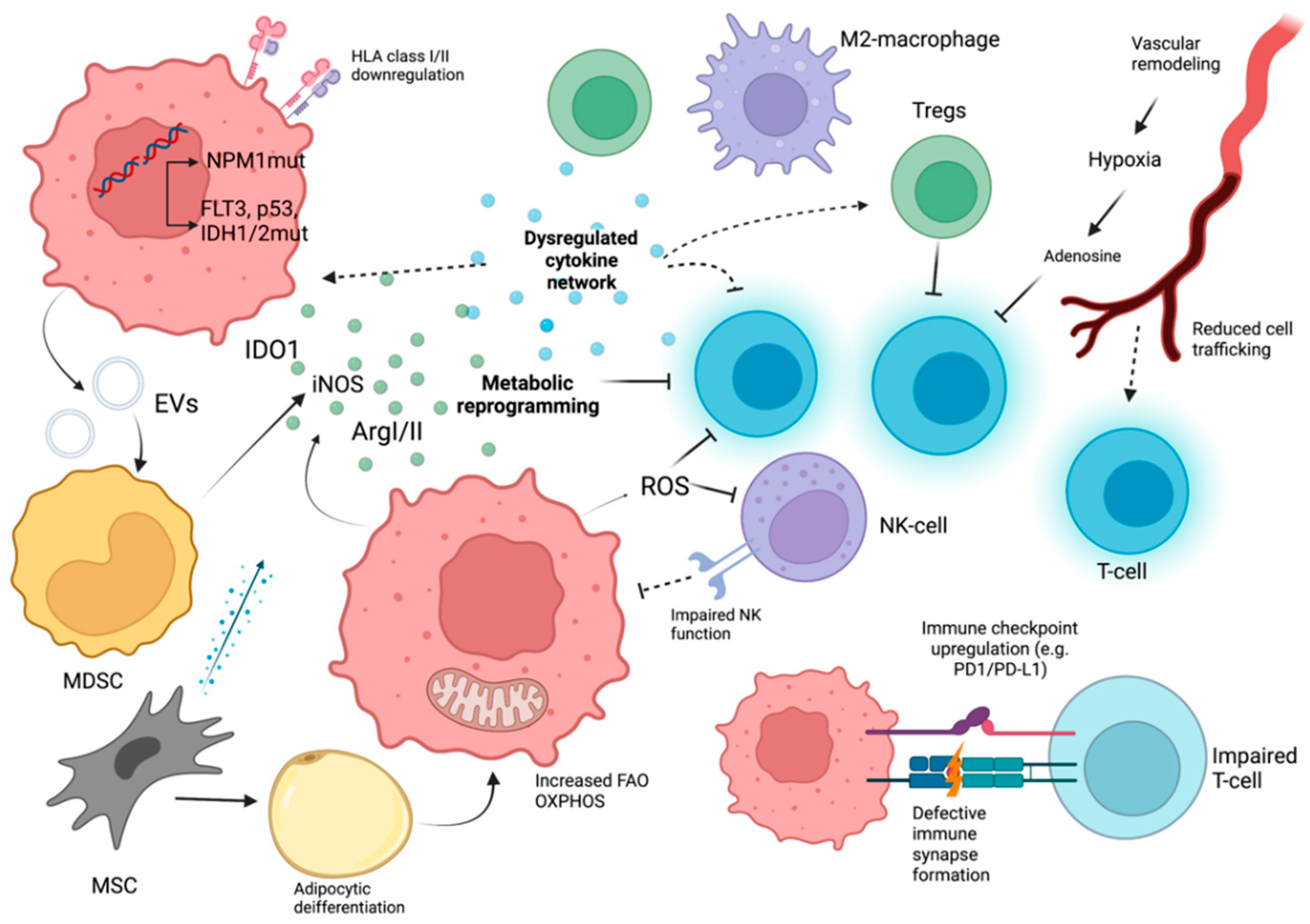 Microenvironmental Features Driving Immune Evasion in Myelodysplastic ...