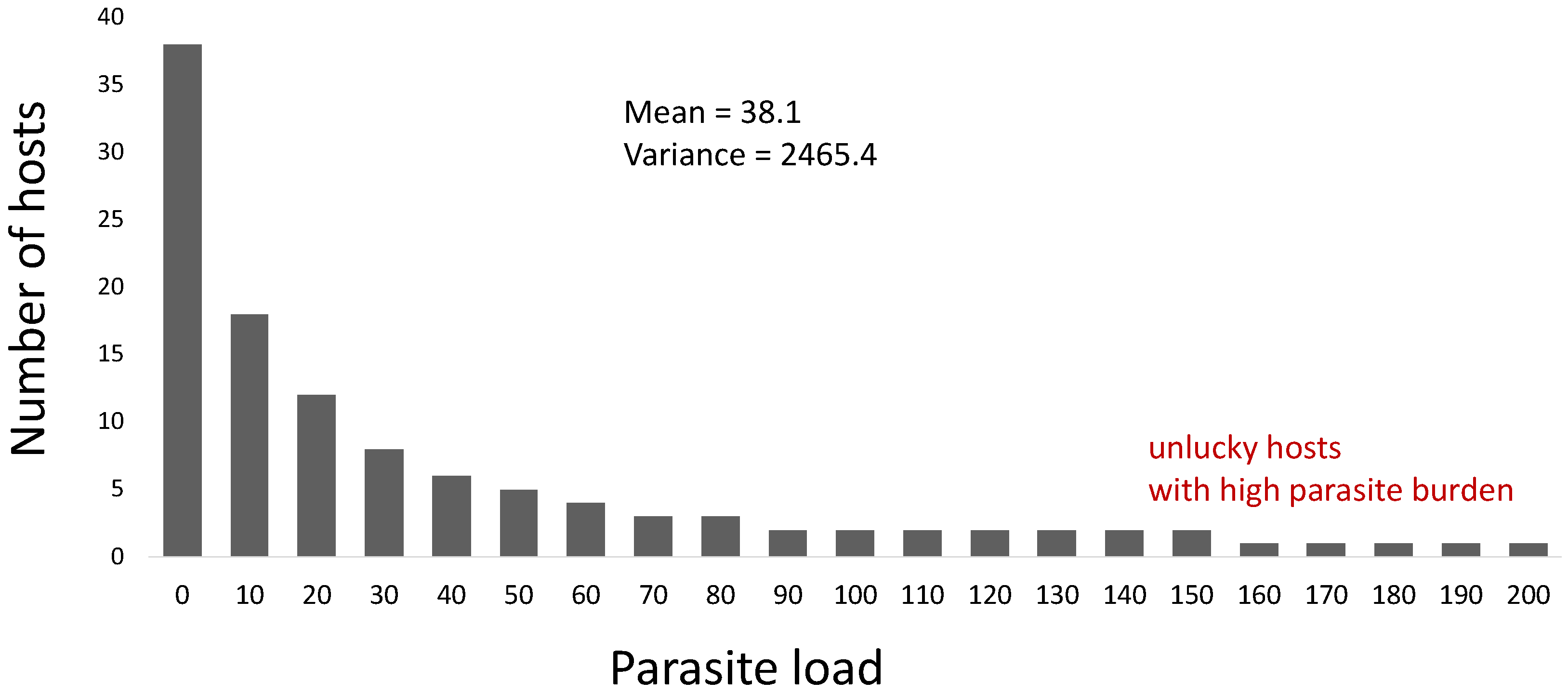 On Spatiotemporal Overdispersion and Macroparasite Accumulation in ...