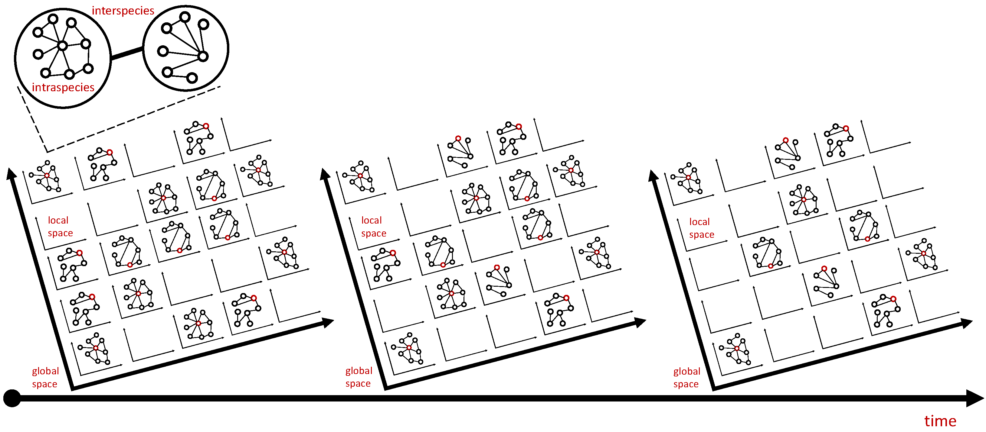On Spatiotemporal Overdispersion and Macroparasite Accumulation in ...