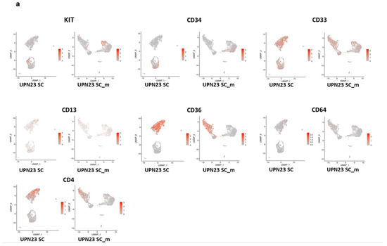 The Contribution of Multiplexing Single Cell RNA Sequencing in Acute Myeloid Leukemia