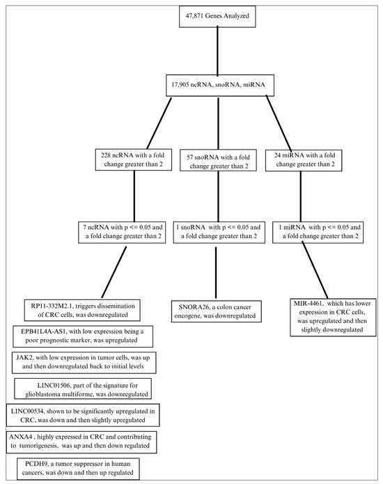 Diseases | Free Full-Text | Noncoding RNA Profile in Reovirus Treated ...