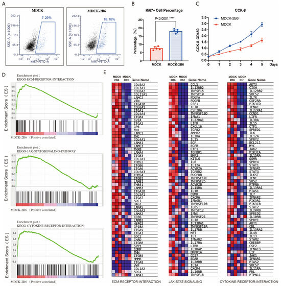 Diseases | Free Full-Text | The Screening and Mechanism of Influenza ...