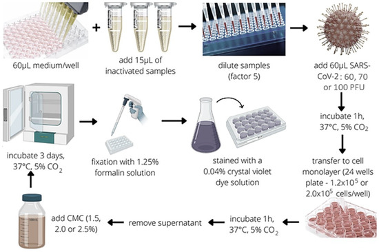 Plaque Reduction Neutralization Test (PRNT) Accuracy in Evaluating ...