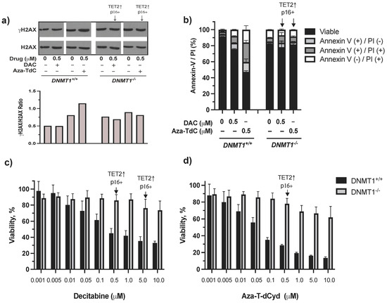Upregulation of TET2 and Resistance to DNA Methyltransferase (DNMT ...