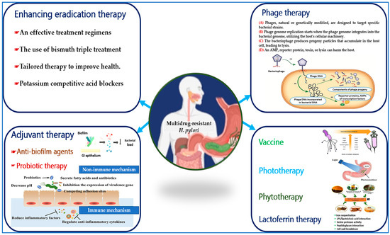 Helicobacter pylori: Routes of Infection, Antimicrobial Resistance, and ...