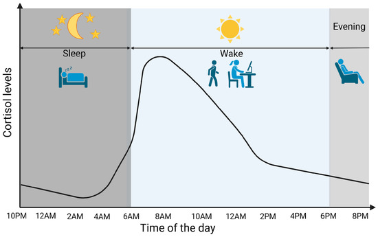 The Role of Cortisol and Dehydroepiandrosterone in Obesity, Pain, and Aging