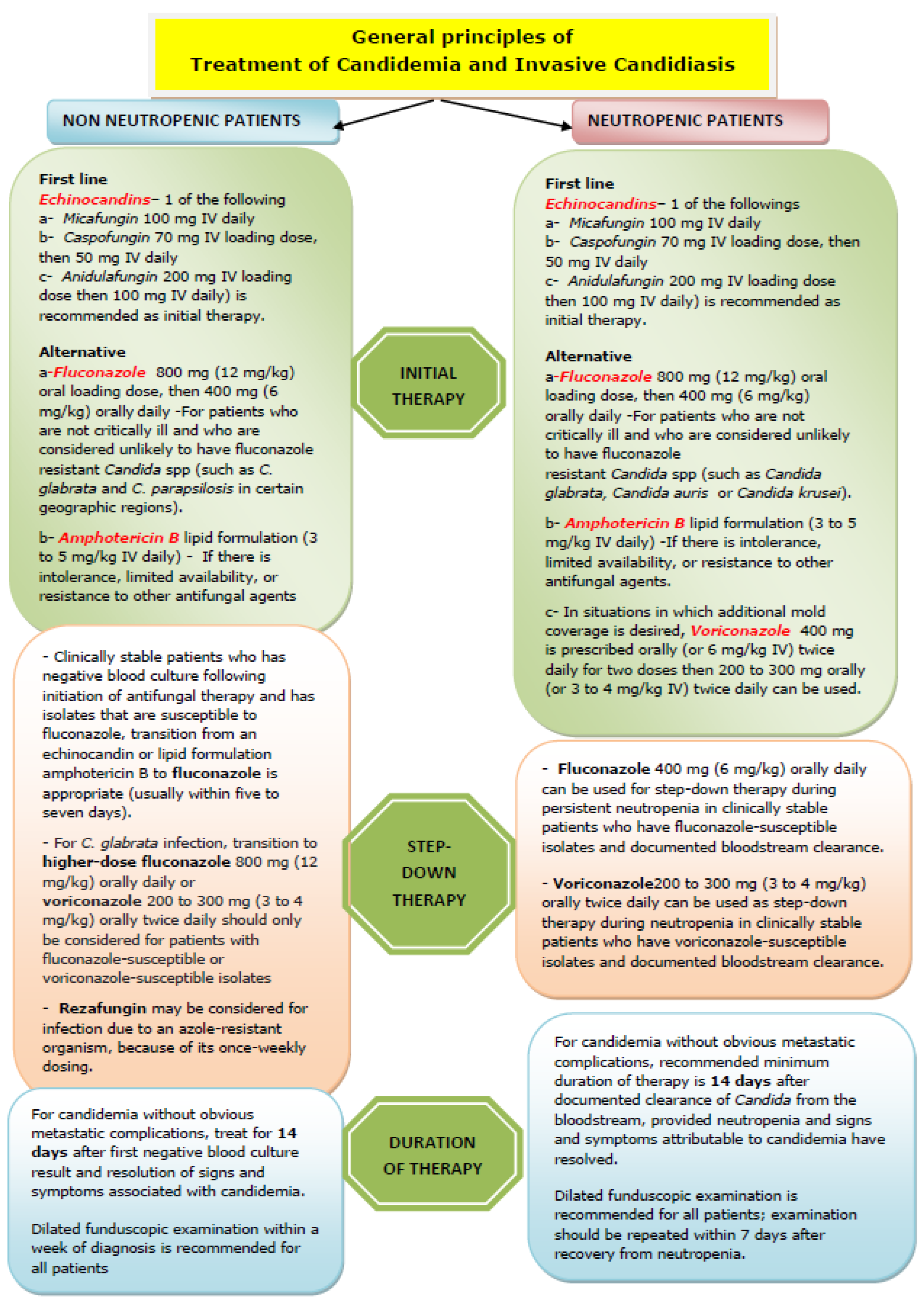 A Comprehensive Review of Candidemia and Invasive Candidiasis in Adults: Focus on the Emerging ...
