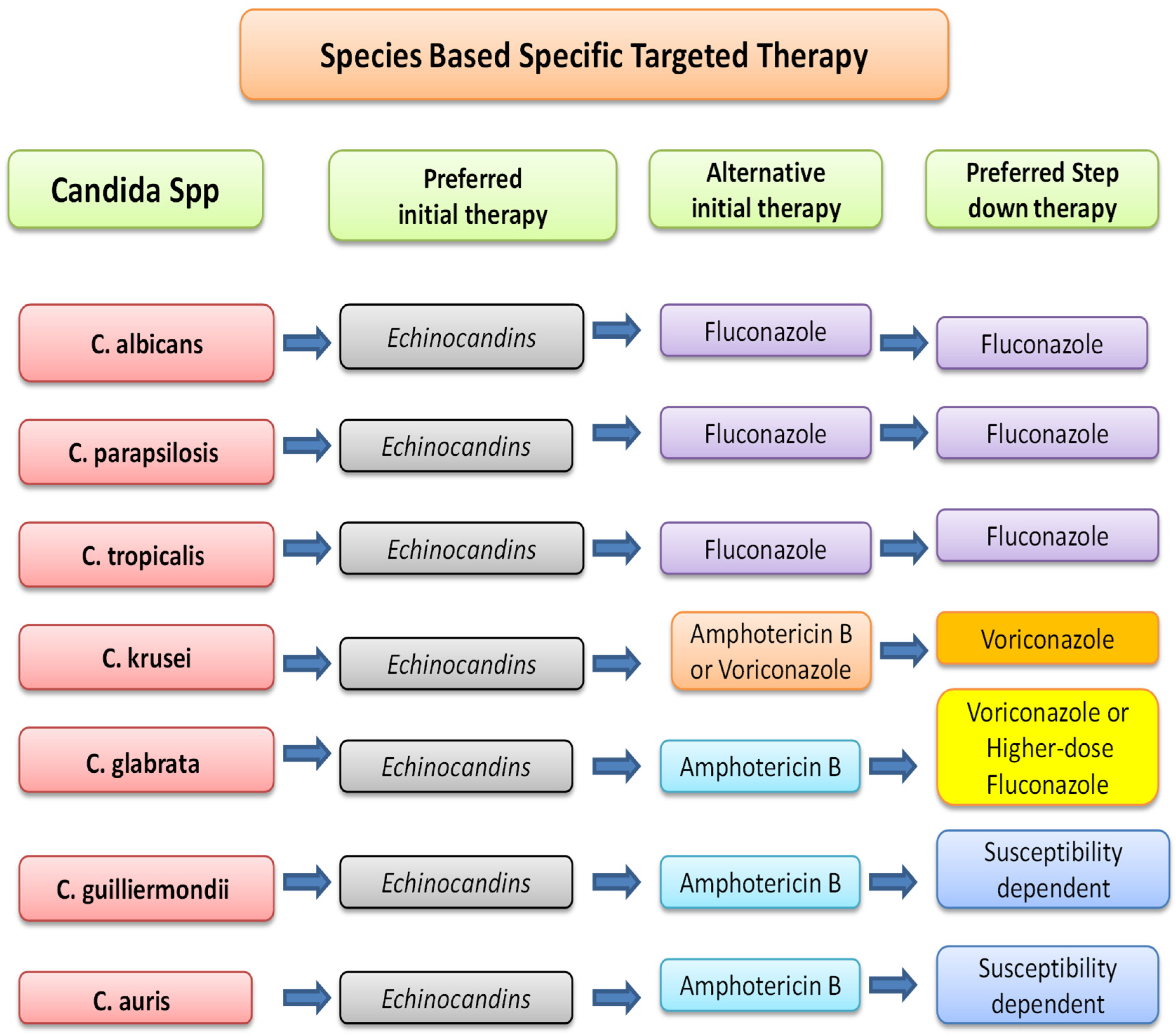 A Comprehensive Review of Candidemia and Invasive Candidiasis in Adults: Focus on the Emerging ...