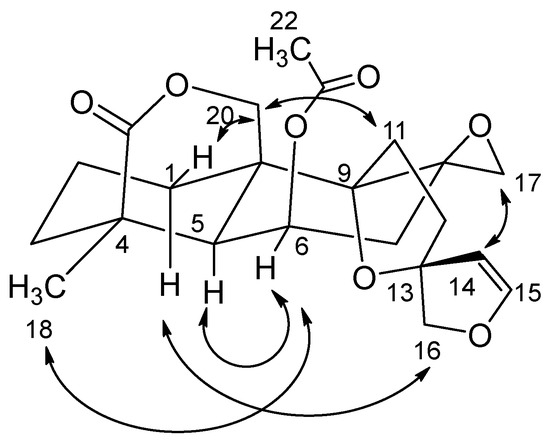 Labdane Diterpenoids from Leonotis ocymifolia with Selective Cytotoxic ...