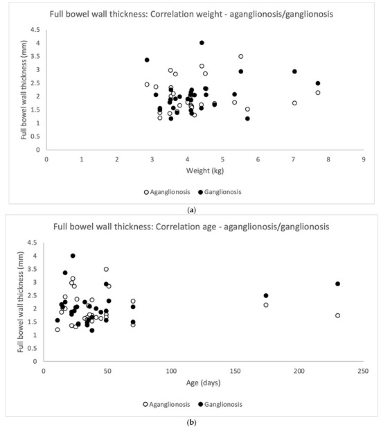 Histoanatomic Features Distinguishing Aganglionosis in Hirschsprung’s ...