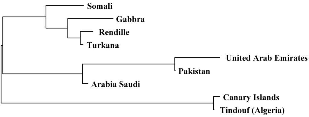 The Canarian Camel: A Traditional Dromedary Population
