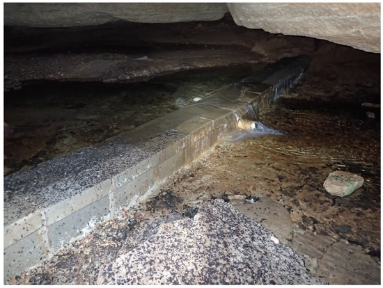 Subterranean Invasion by Gapped Ringed Crayfish: Effectiveness of a ...