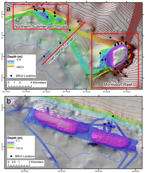 Deep-Reef Fish Communities of the Great Barrier Reef Shelf-Break ...