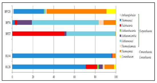 Phylogenetic Diversity of Archaea in Shallow Hydrothermal Vents of ...