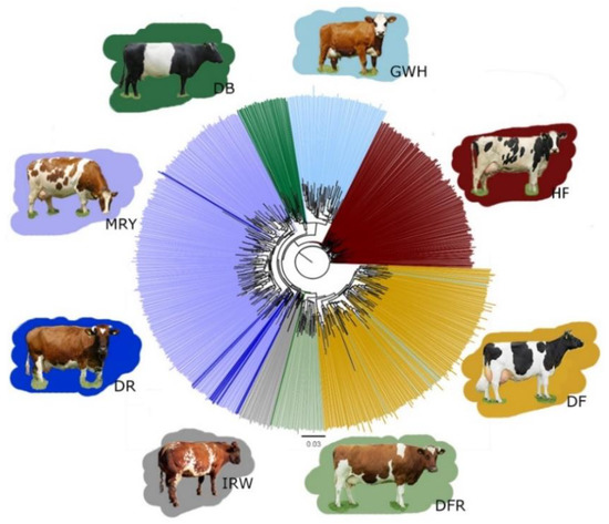 Characterization of Genetic Diversity Conserved in the Gene Bank for ...