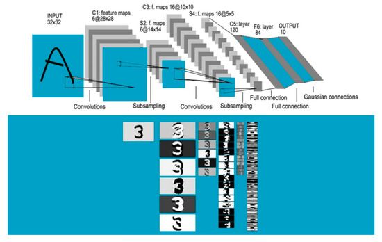 Neural Network Recognition of Marine Benthos and Corals