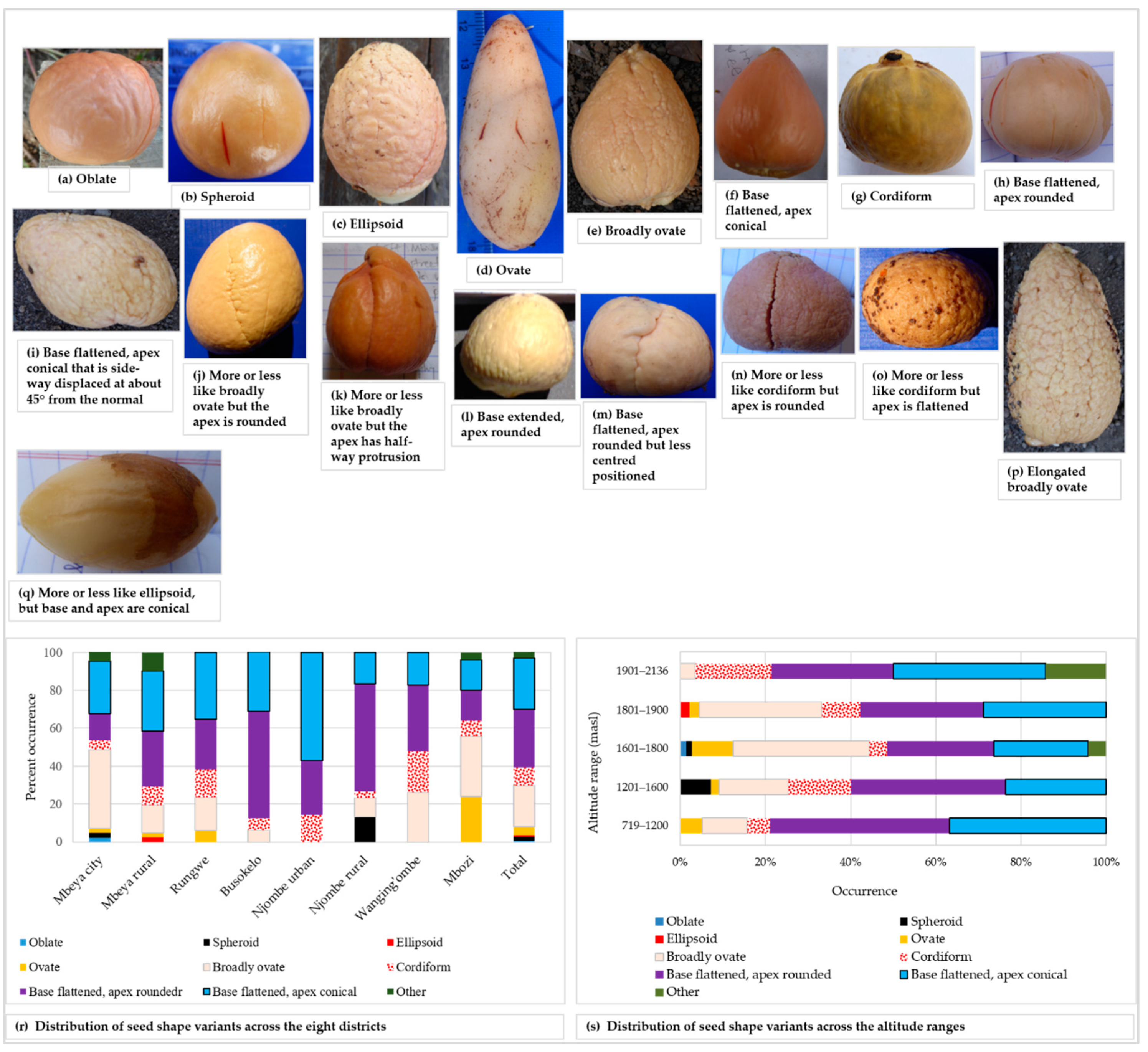 Characterization of Tanzanian Avocado Using Morphological Traits
