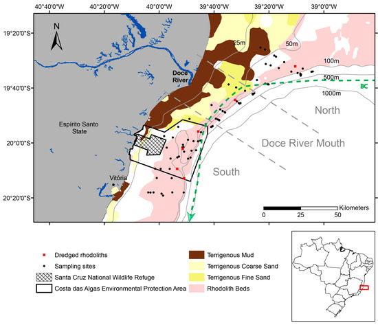 Structure of Rhodolith Beds and Surrounding Habitats at the Doce River ...