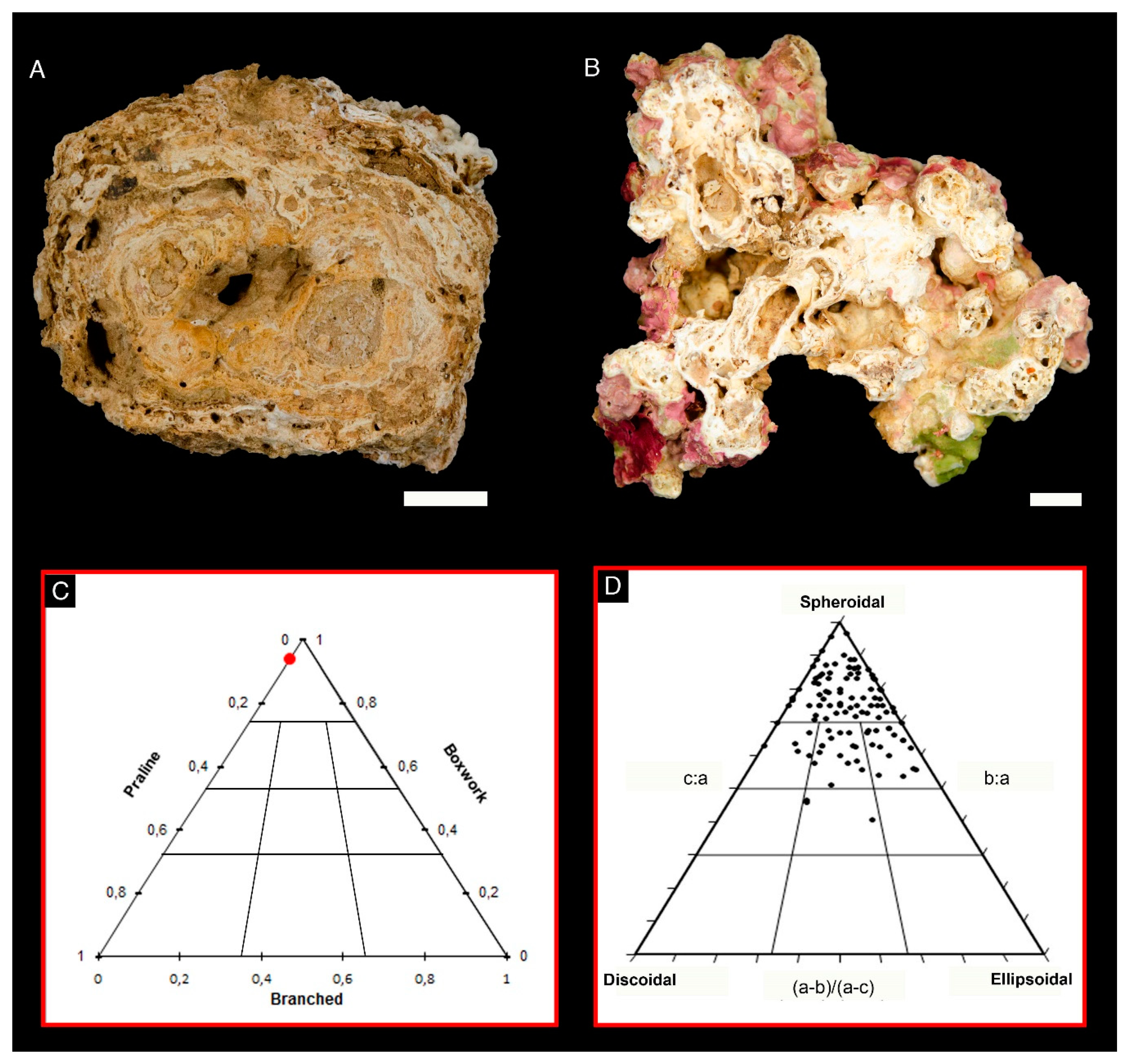 Structure of Rhodolith Beds and Surrounding Habitats at the Doce River ...