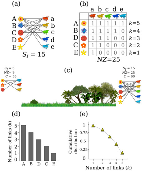 Measuring and Linking the Missing Part of Biodiversity and Ecosystem ...