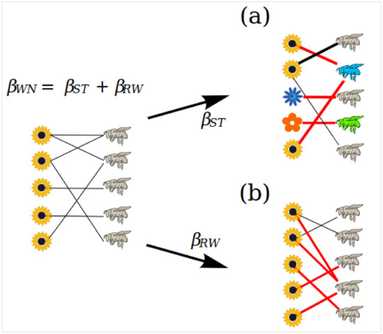 Diversity | Special Issue : Symbioses and the Biodiversity-Ecosystem ...