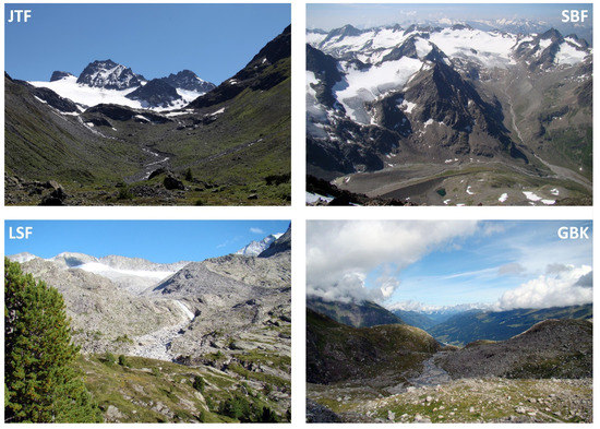 Diversity | Free Full-Text | Common Patterns and Diverging Trajectories ...