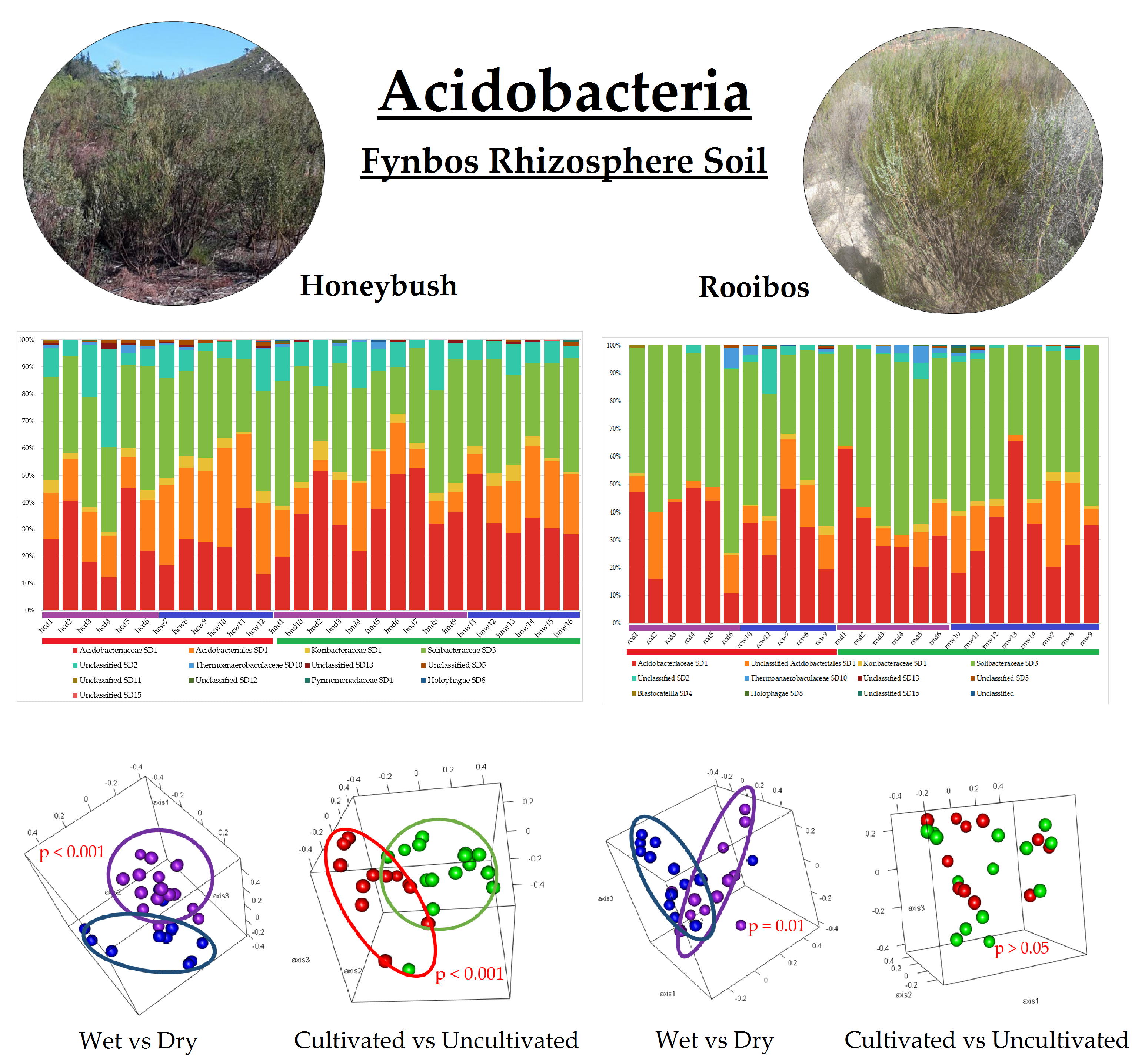 Diversity | Free Full-Text | Seasonal and Agricultural Response of ...