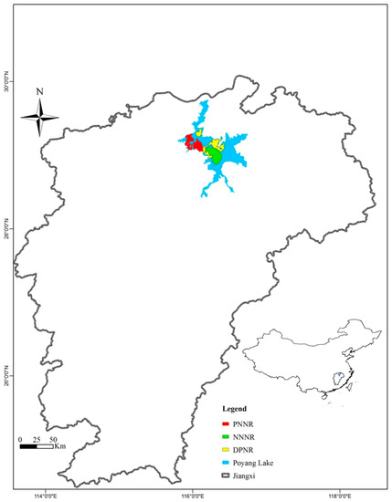 Composition and Diversity of Over-Wintering Aquatic Bird Community on ...