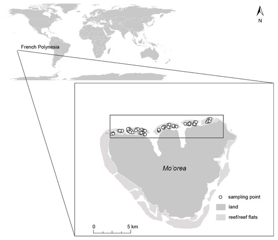Seascape Configuration and Fine-Scale Habitat Complexity Shape ...