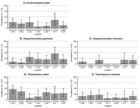 Diversity | Free Full-Text | Variation in Ectosymbiont Assemblages ...